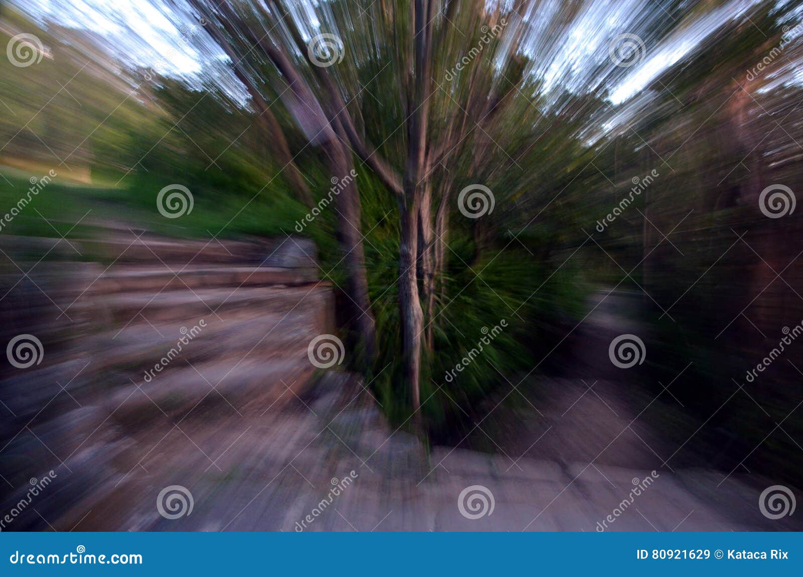 Zoom into a Forest with High Speed Textured Background Stock Image ...