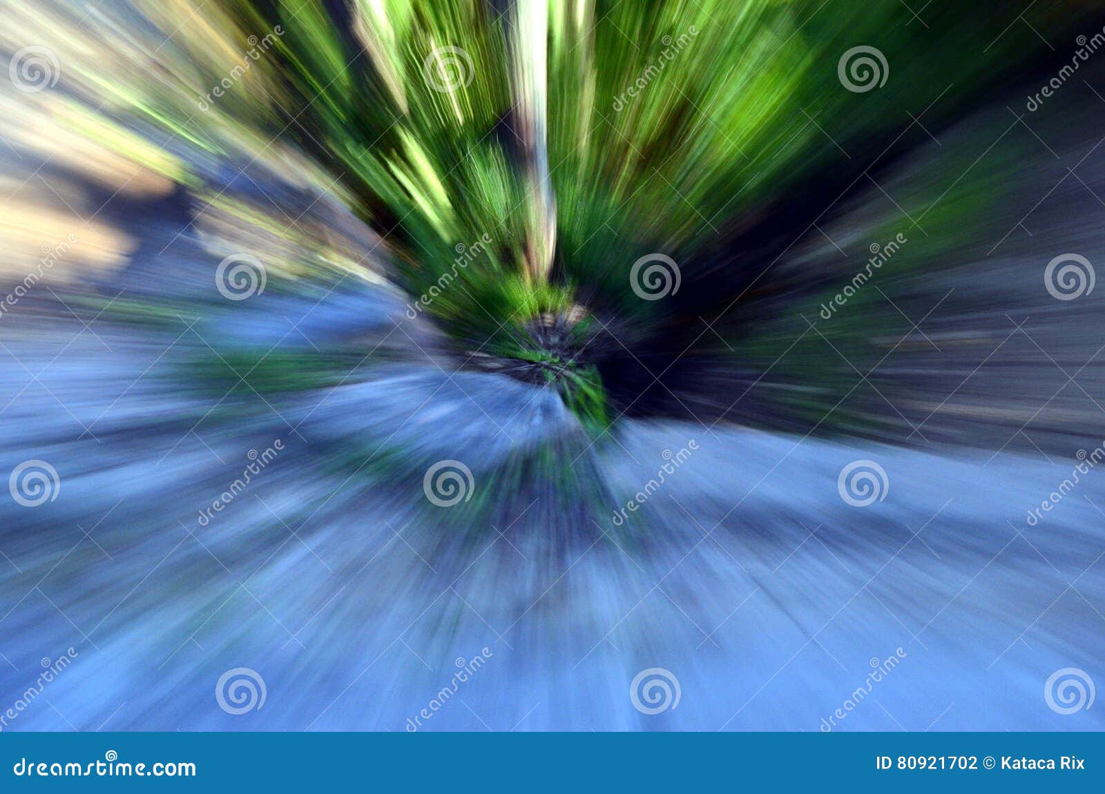 Zoom into a Forest with High Speed Textured Background Stock Photo ...