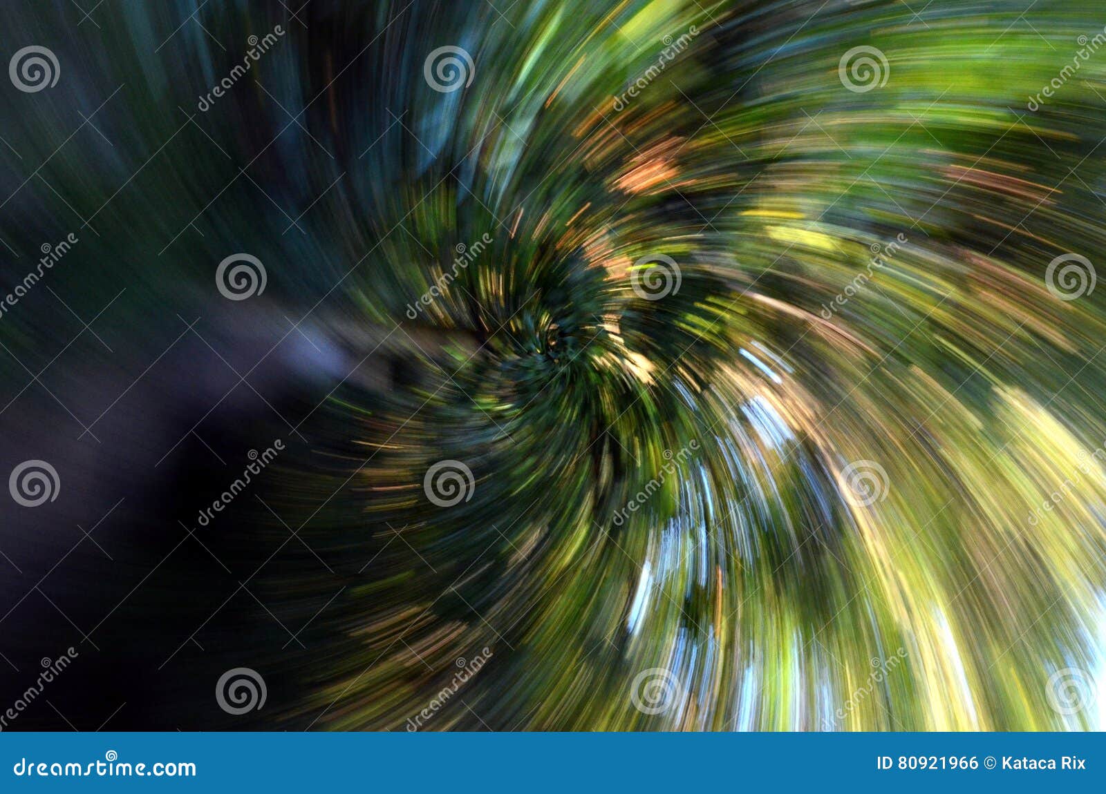 Zoom into a Forest with High Speed Textured Background Stock Photo ...