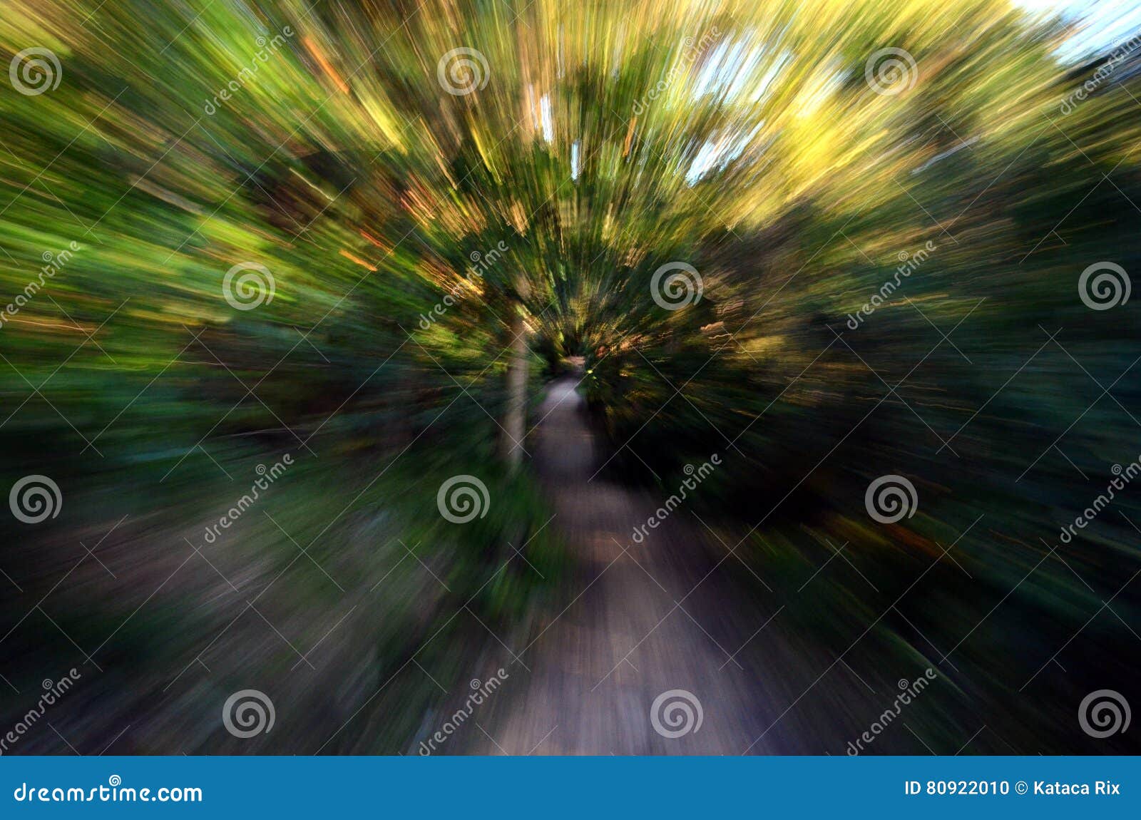 Zoom into a Forest with High Speed Textured Background Stock Photo ...