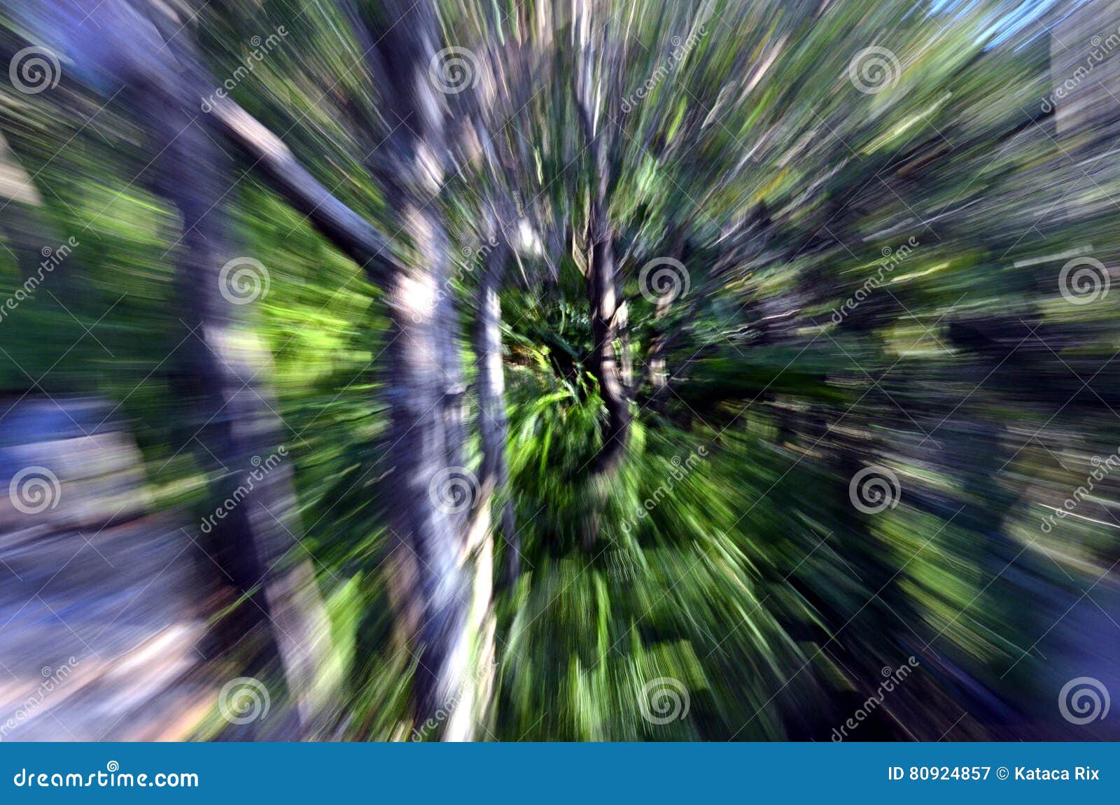 Zoom into a Forest with High Speed Textured Background Stock Image ...