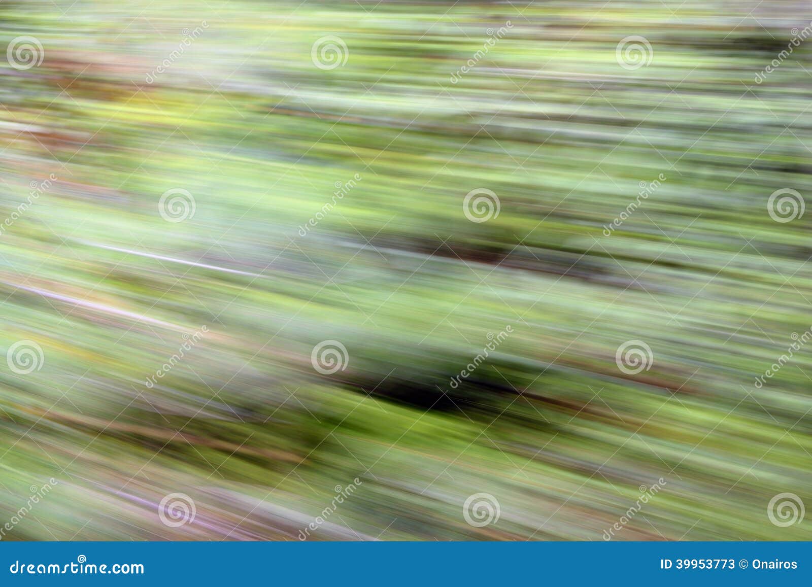 Zoom forest stock image. Image of defocused, abstract - 39953773