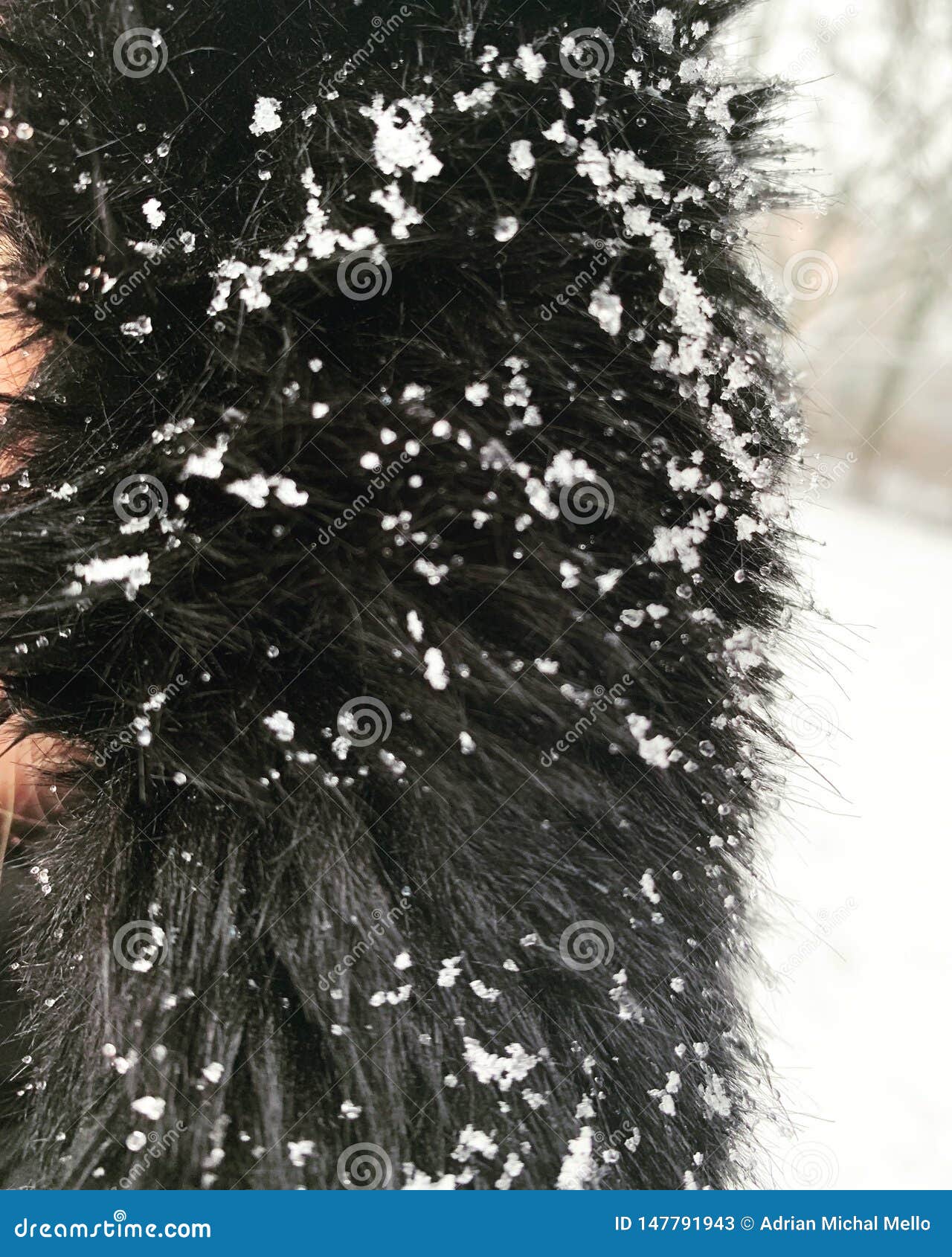 Zoom of fur coat with snow stock image. Image of snowflakes - 147791943