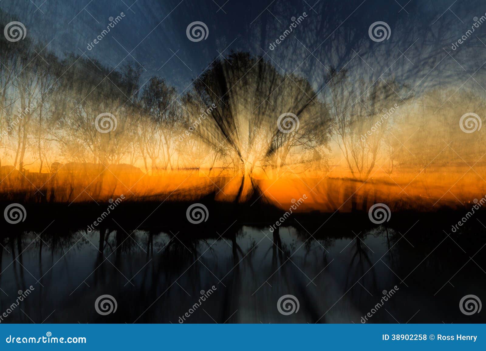 Zoom Light Dawn Trees stock photo. Image of sunlight - 38902258