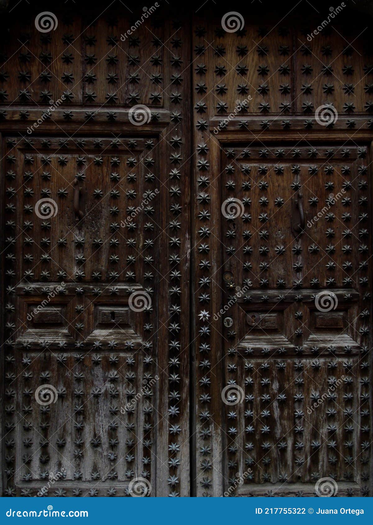 Texture of a door stock photo. Image of texture, zoom - 217755322