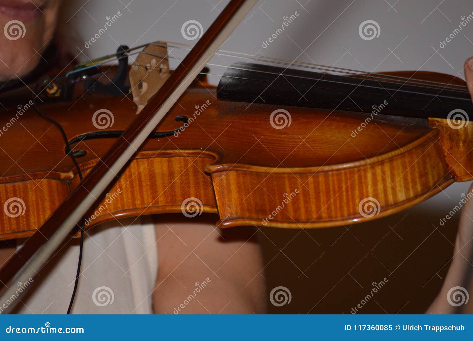 Zoom on a Stringed Music Instrument Stock Image - Image of instruments ...