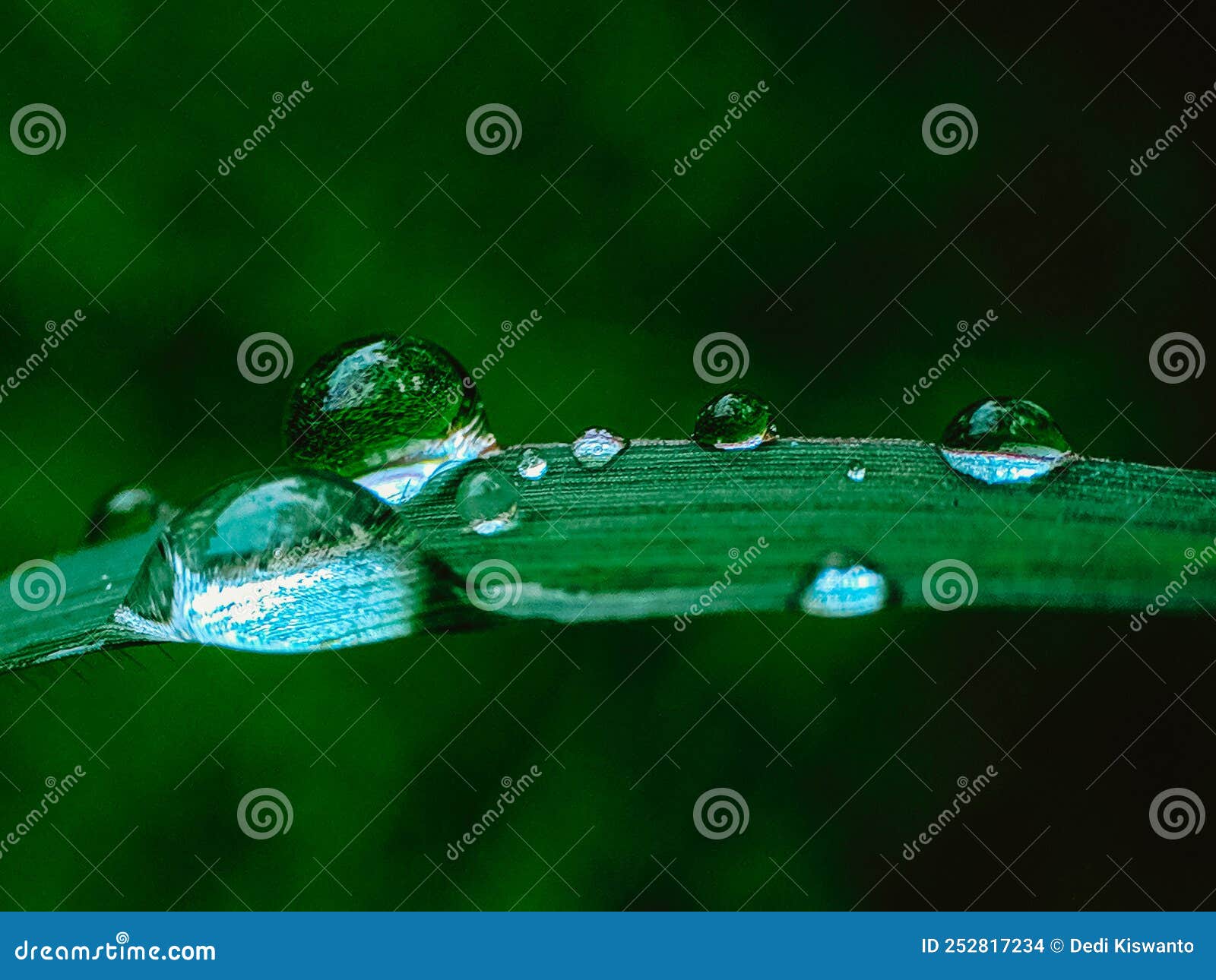 Zoom watter drop stock photo. Image of reflection, zoom - 252817234