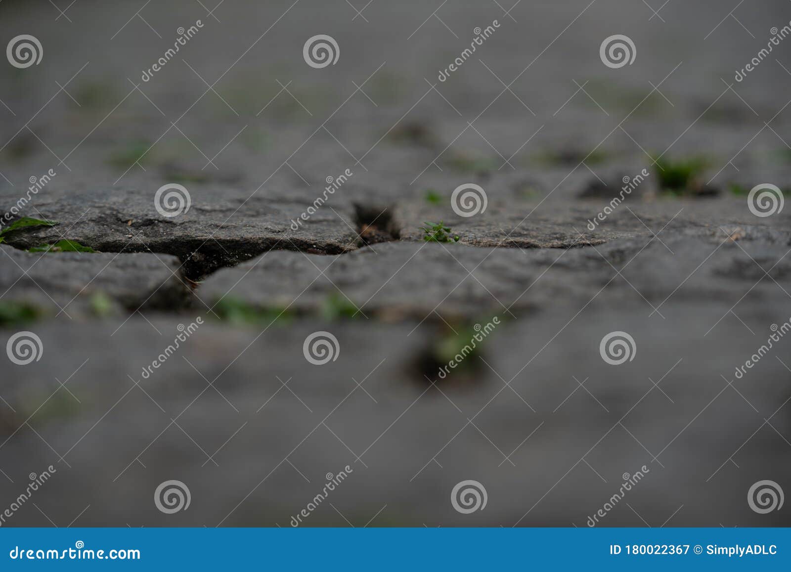 Zoomed in Shot of a Road Made Out of Cobbled Stone Stock Image - Image ...