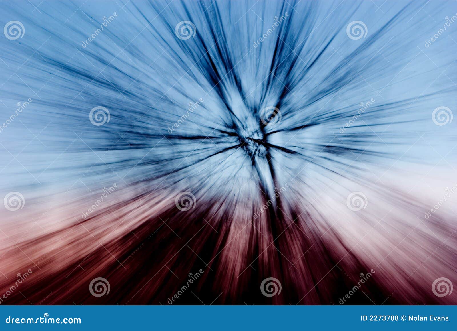 Zoomed Tree stock photo. Image of concept, conceptual - 2273788