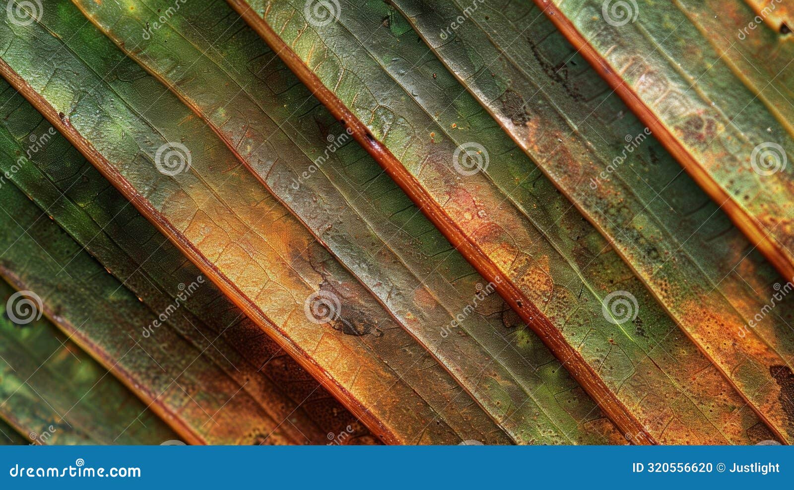 Zoomedin Image of Leaf S Capturing the Subtle Shades of Green and Brown ...