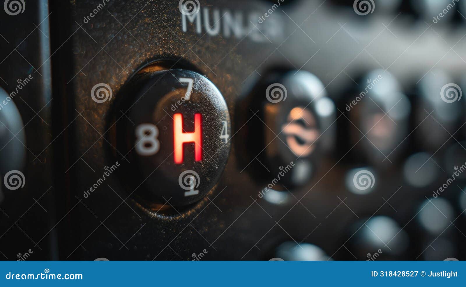 Zoomedin Image Of Taste Buds Highlighting The Microvilli That Detect ...
