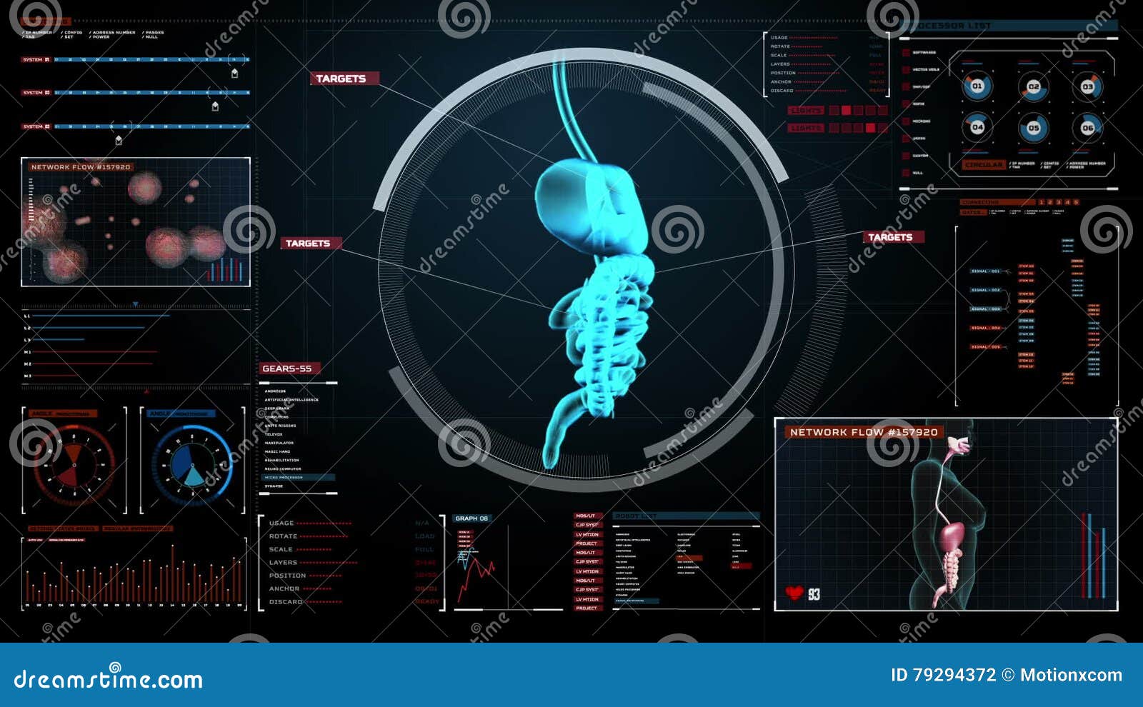 Zooming Body Scanning Internal Organs, Digestion System in Digital ...