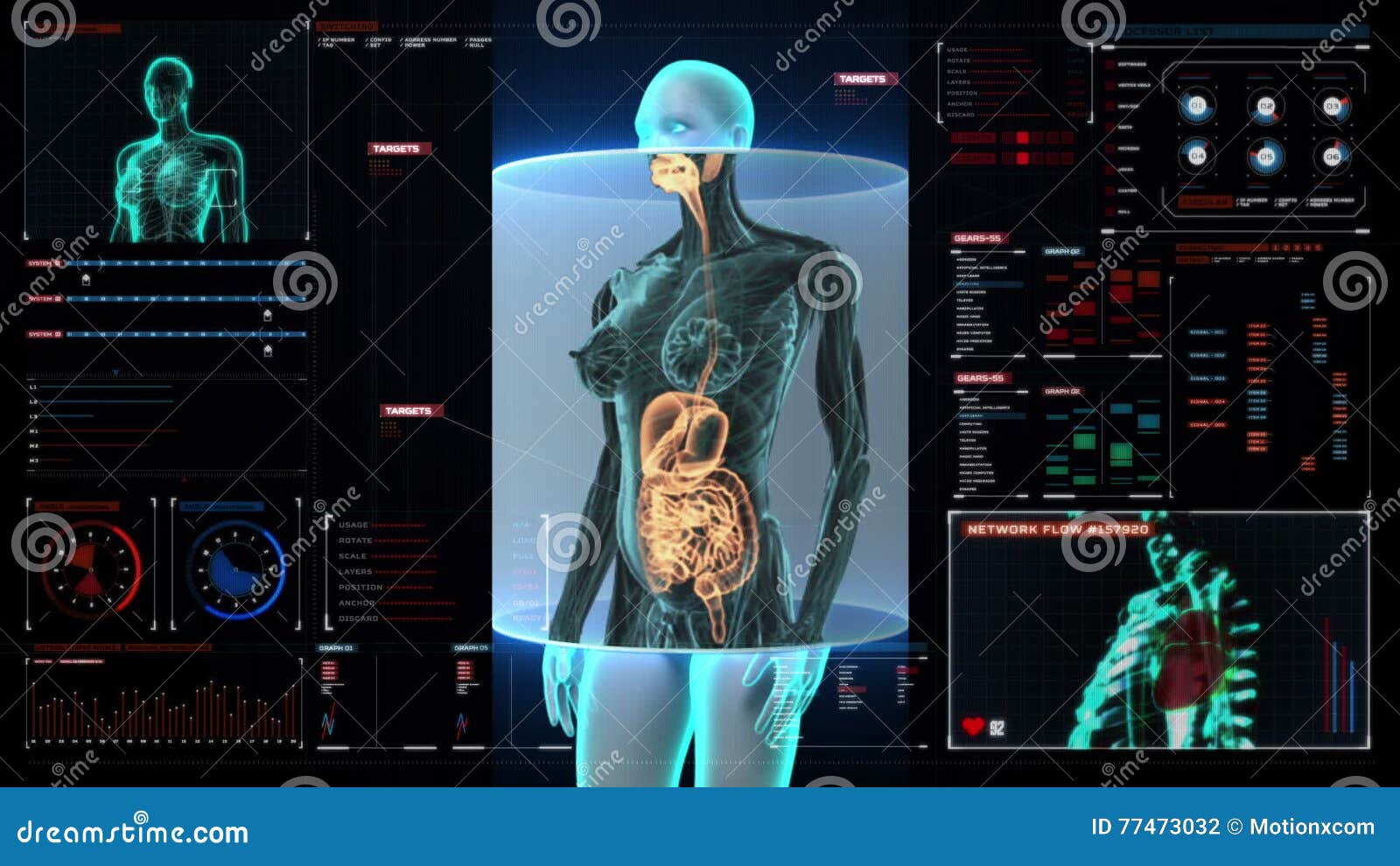 Zooming Female Human Body Scanning Internal Organs, Digestion System ...