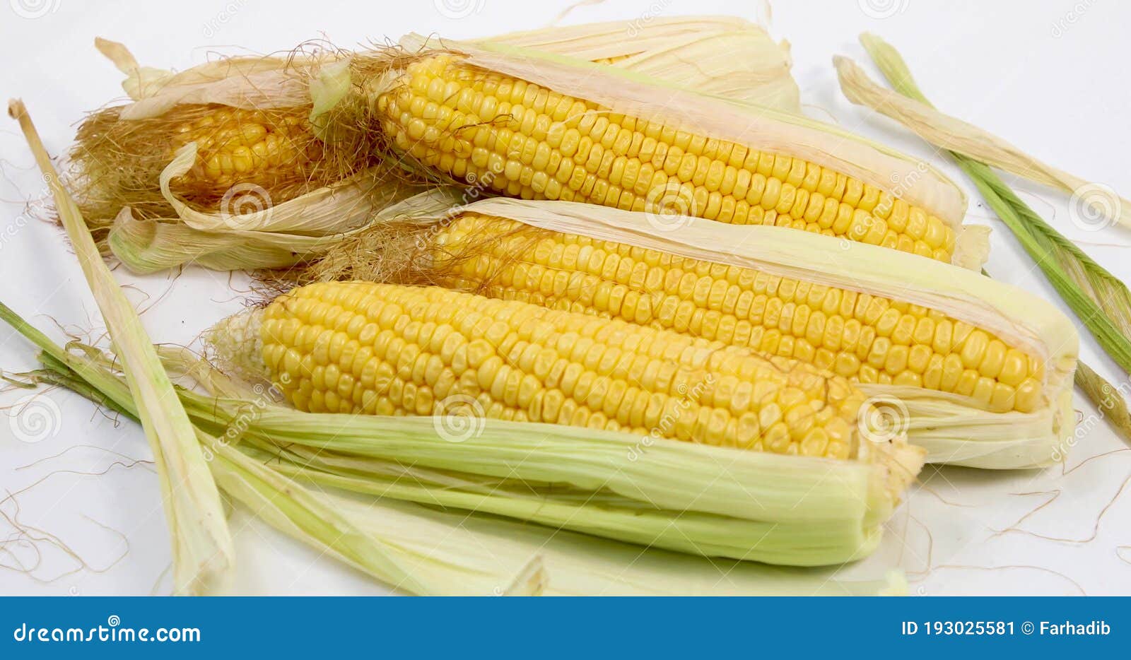 Zooming in Fresh Corn Isolated Stock Video - Video of maize, diet ...