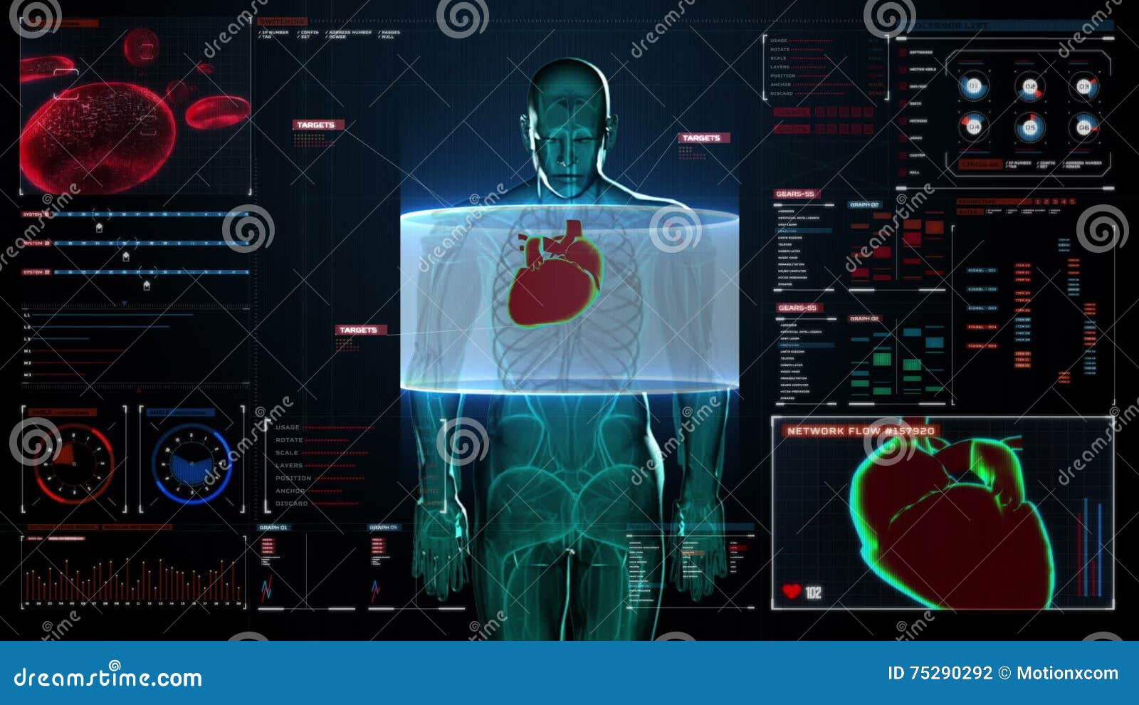 Zooming Front Body and Scanning Heart. Human Cardiovascular System in ...
