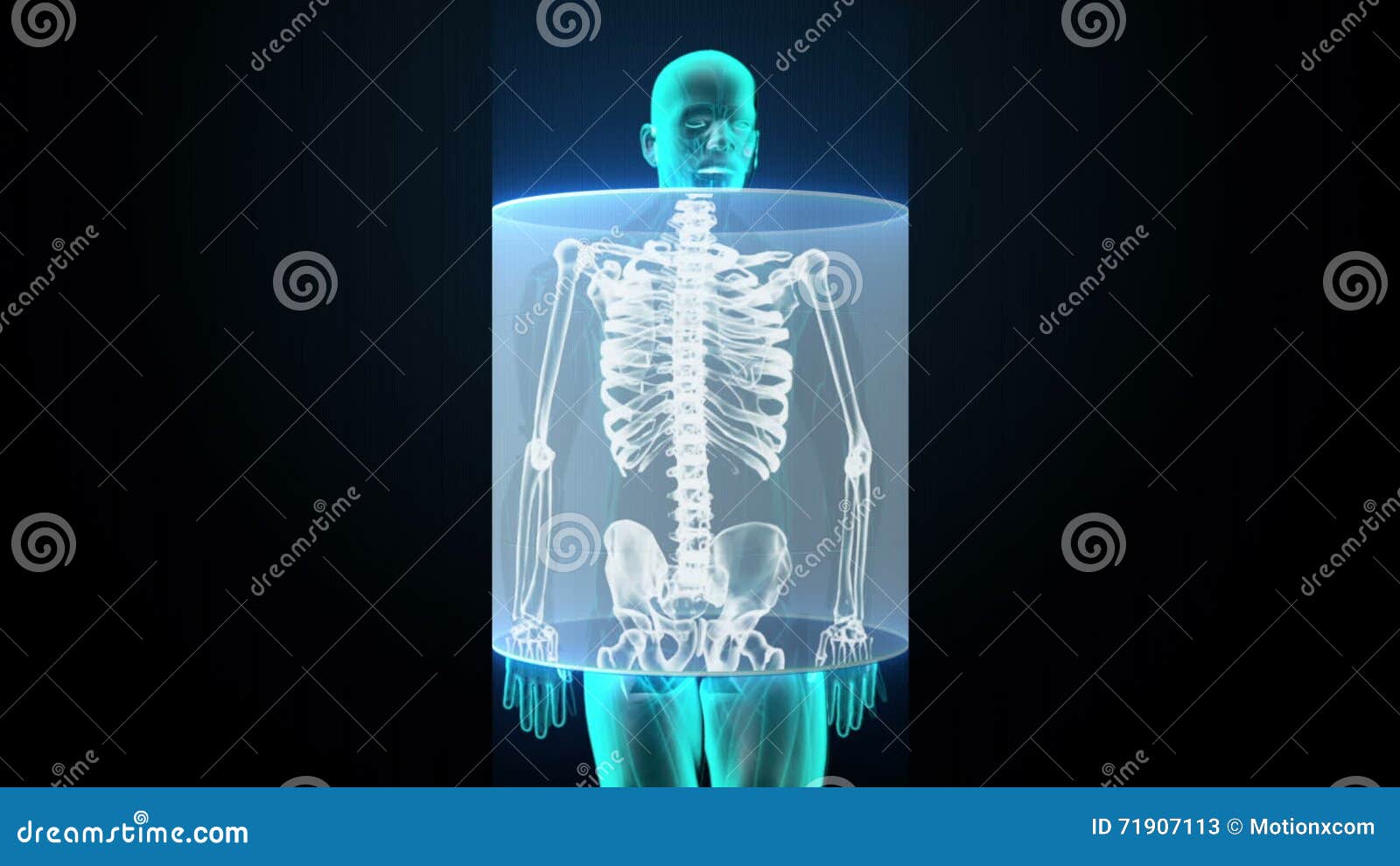 Zooming Human Skeletal Structure, Scanning Bone System, Blue X-ray ...