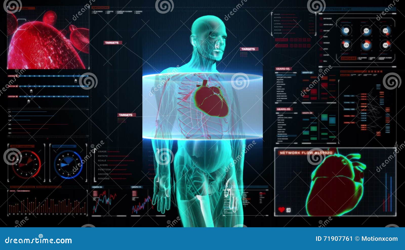 Zooming Rotating Body Scanning Heart Human Cardiovascular System Blue X ...