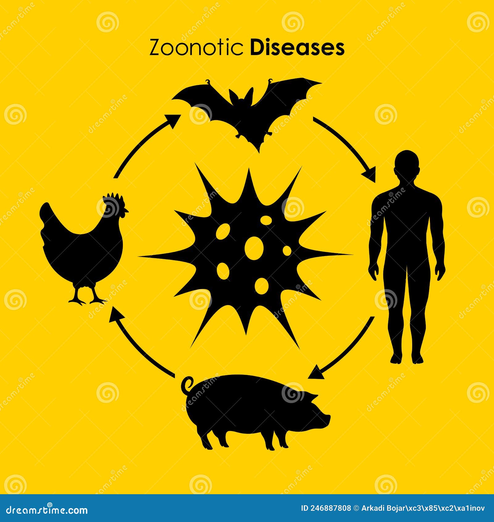 Zoonotic Diseases Vector Poster | CartoonDealer.com #246887808