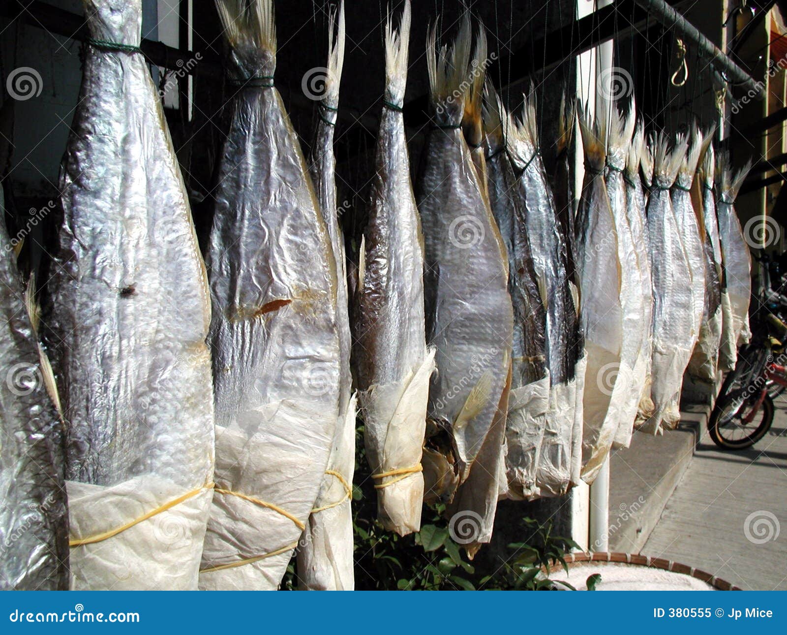 Zoute vissen stock afbeelding. Image of droog, zout, vissen - 380555