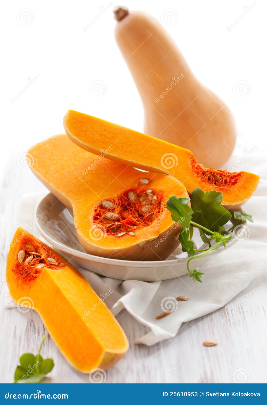 Zucca di Butternut immagine stock. Immagine di seme, selettivo - 25610953
