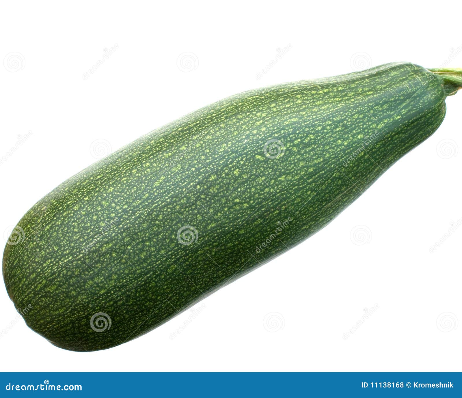 Zucchini. stock photo. Image of harvest, ripe, closeup - 11138168