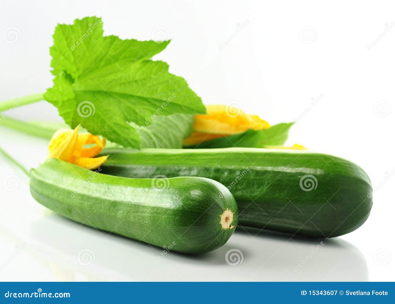 Zucchini stock image. Image of healthy, green, farm, shadow - 15343607
