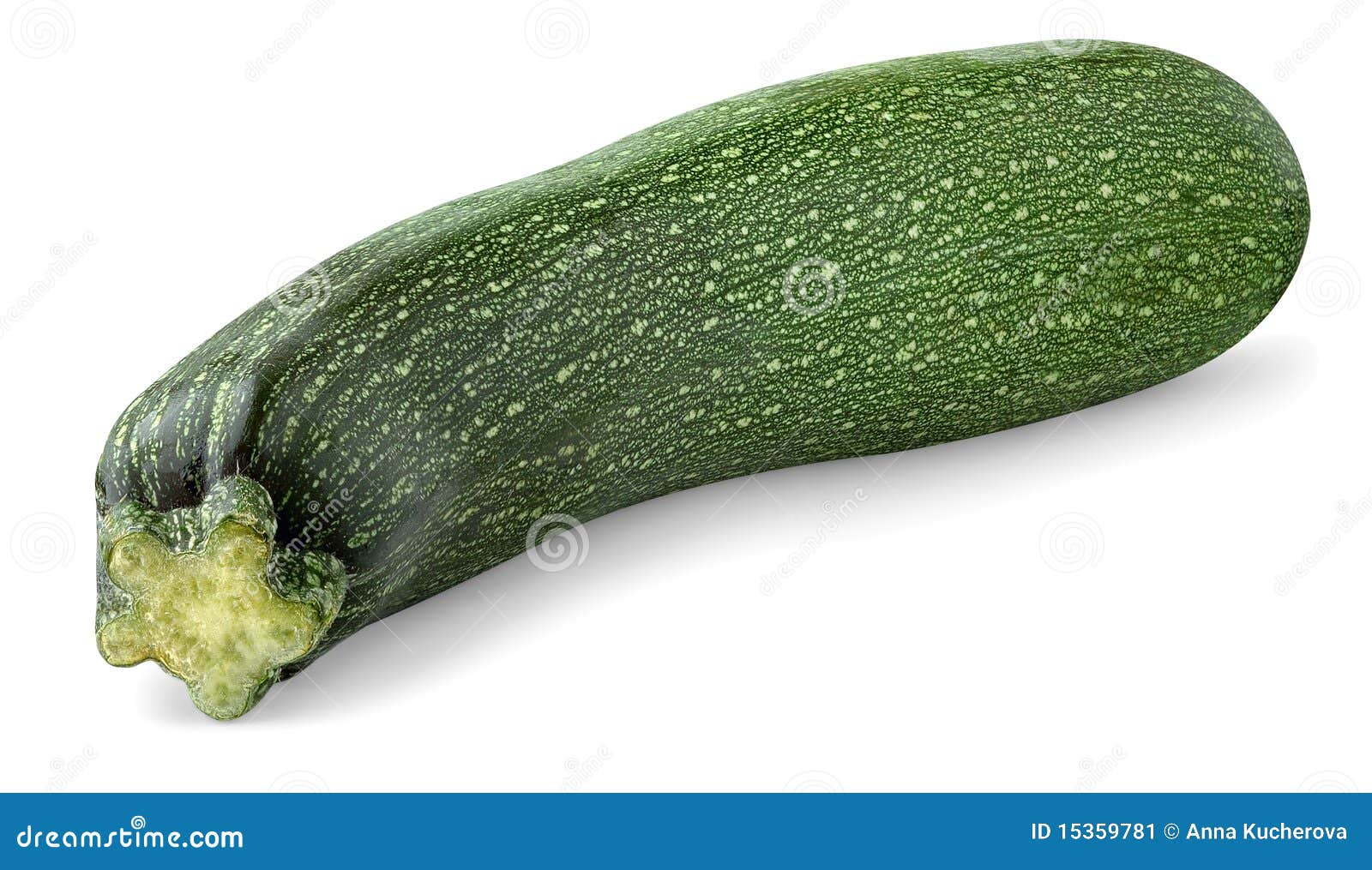 Isolated zucchini stock image. Image of single, white - 15359781