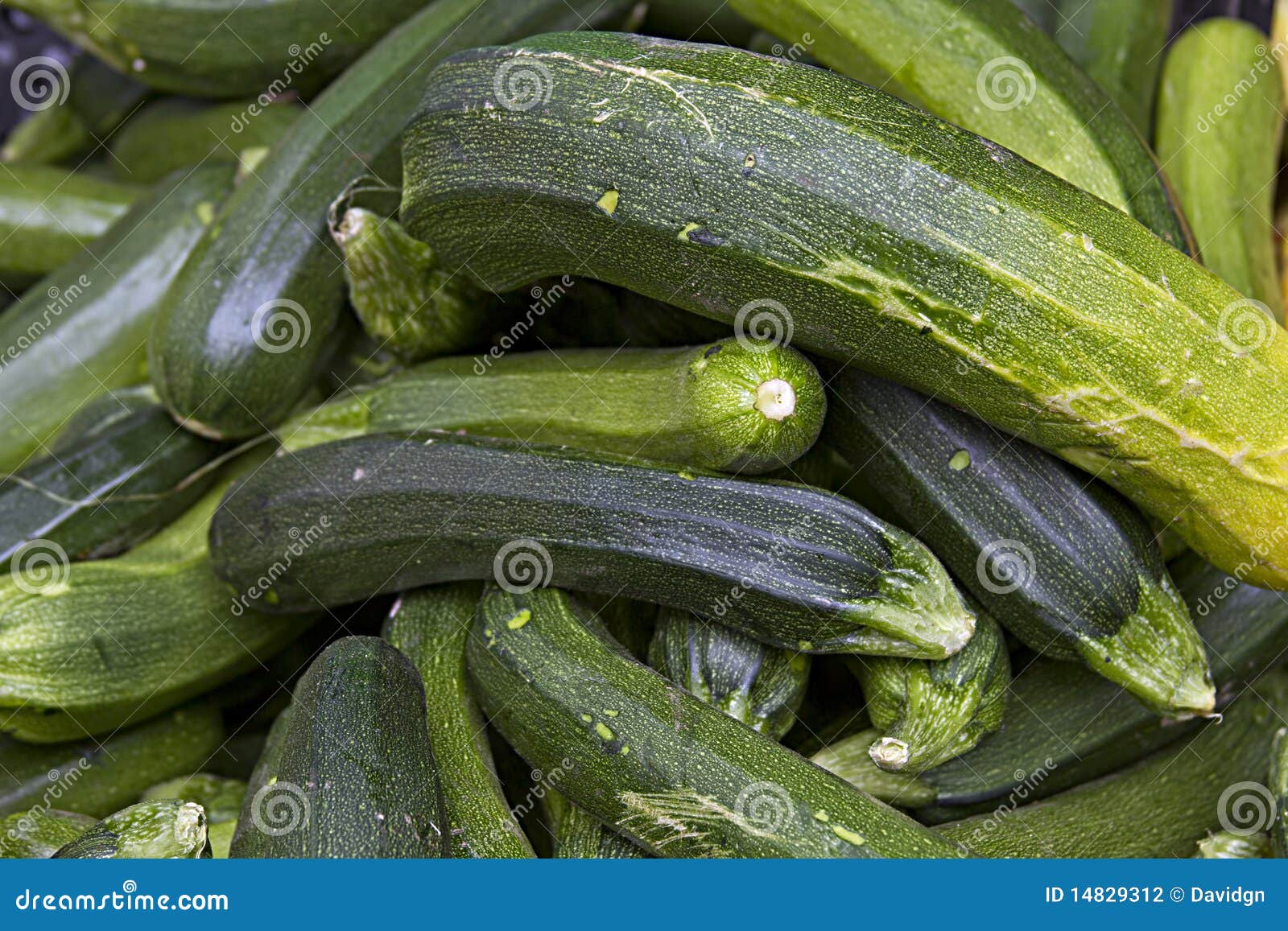 Zucchini Background stock photo. Image of farmers, melon - 14829312