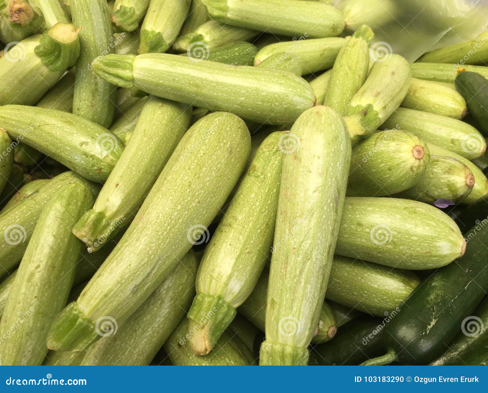 Zucchini Background Isolate Stock Photo - Image of courgette, leaf ...
