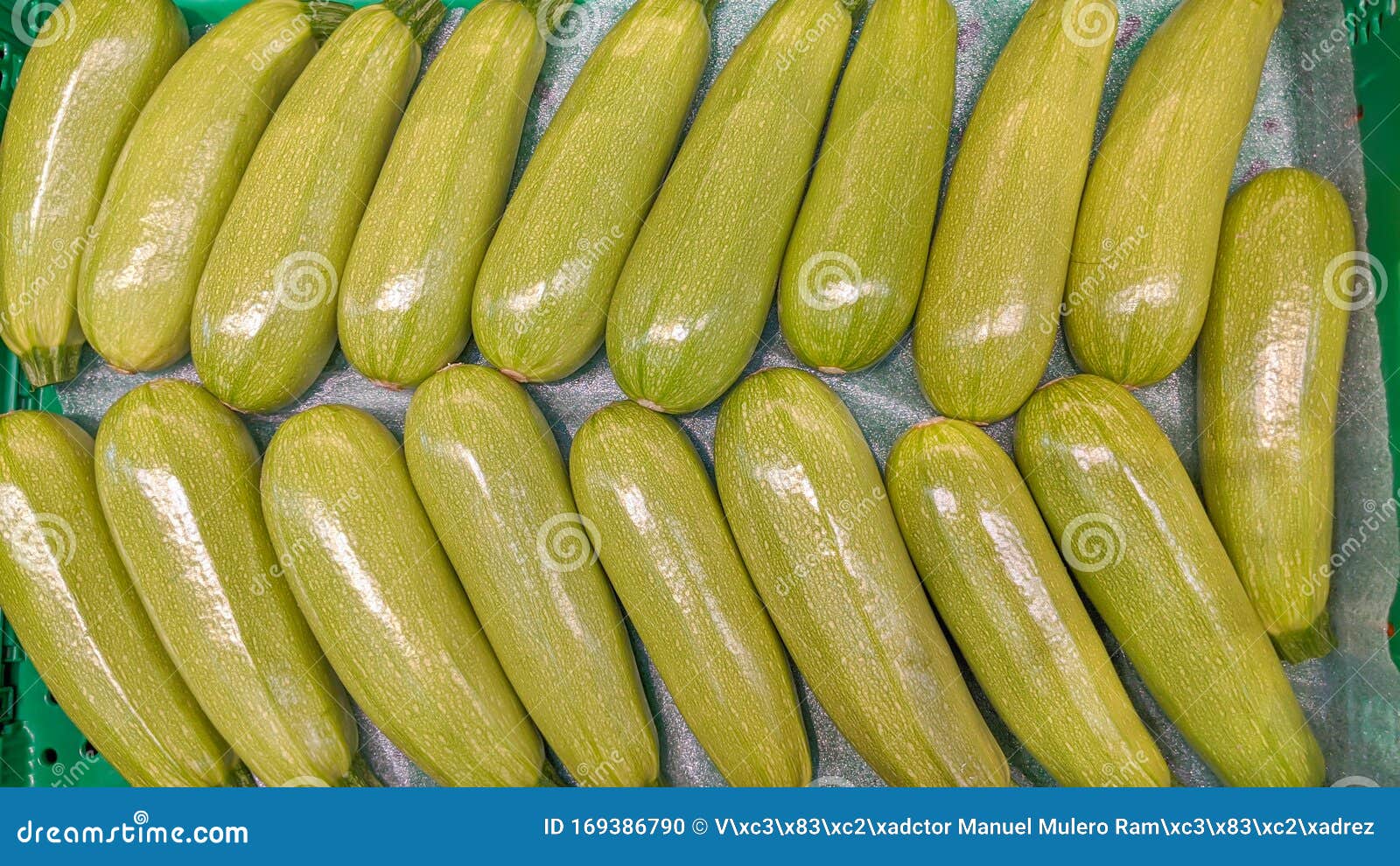 Zucchini Blanco Fresco Y Saludable a Granel Foto de archivo - Imagen de ...