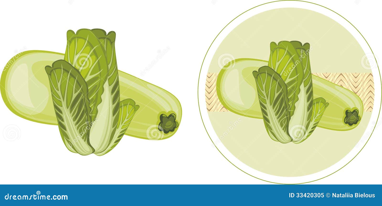 Zucchini and Cabbage. Label for Design Stock Vector - Illustration of ...