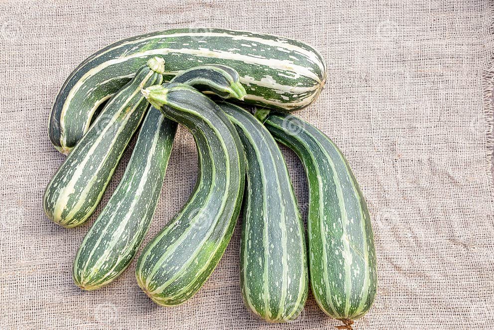 Zucchini in Different Sizes Stock Image - Image of zucchini, background ...