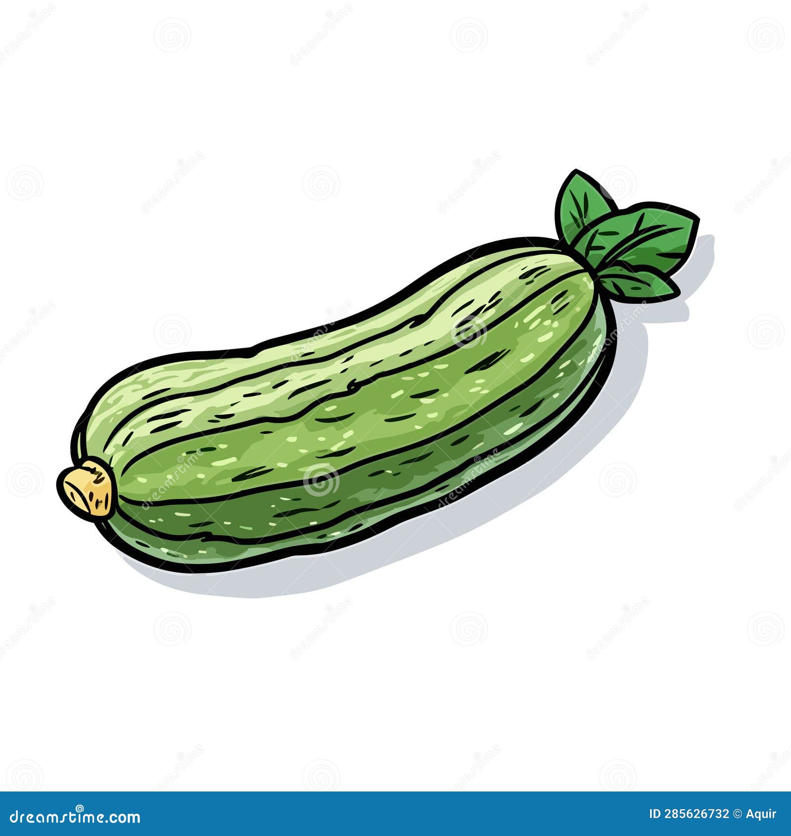 Zucchini Hand-drawn Illustration. Zucchini. Vector Doodle Style Cartoon ...