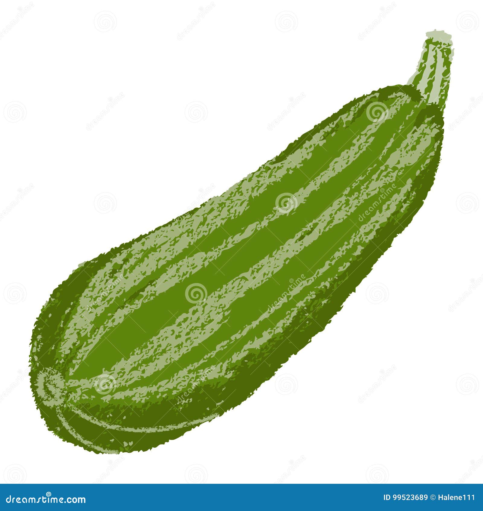 Zucchini Brush Style Vector Illustration Stock Vector - Illustration of ...