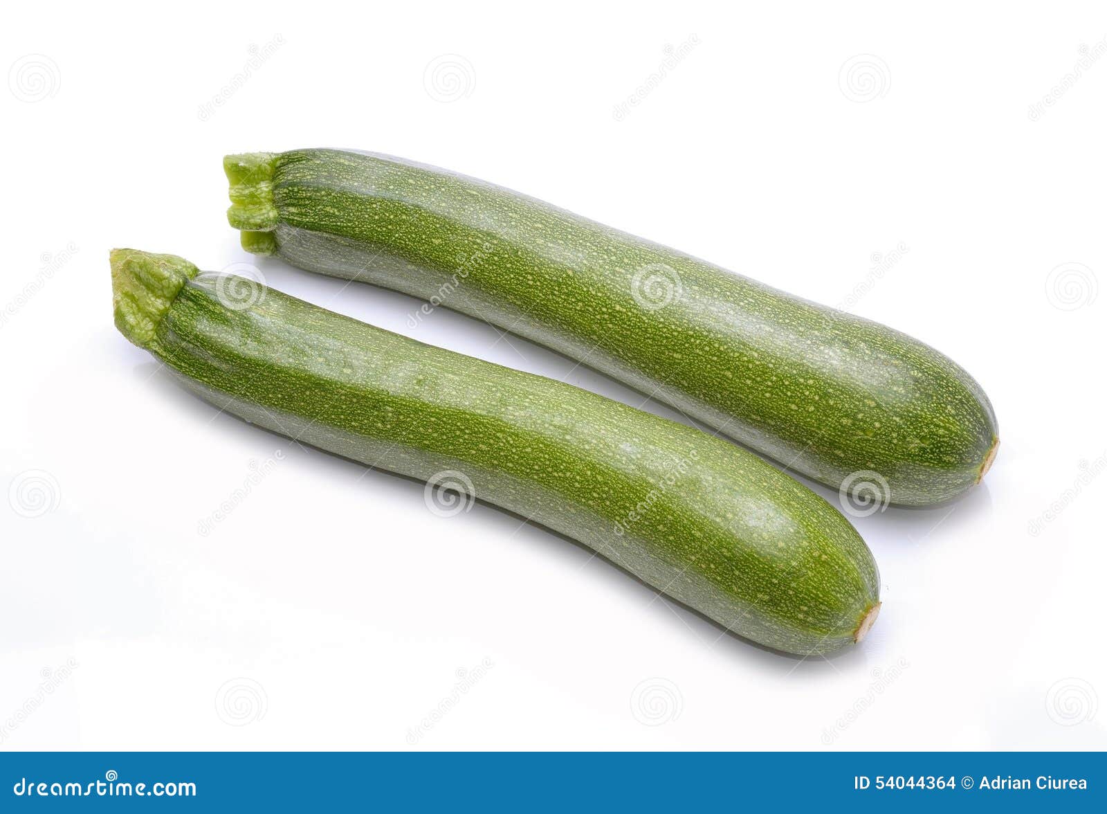Zucchini isolated on white stock photo. Image of farmer - 54044364