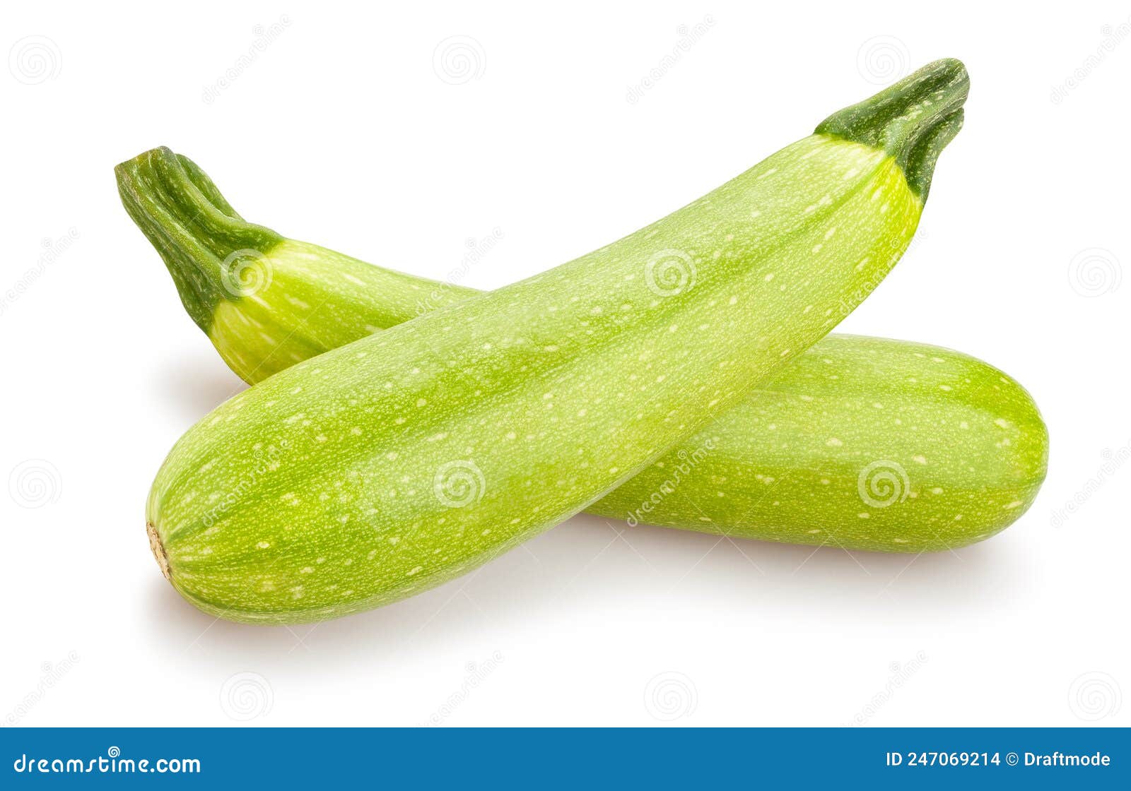 Zucchini path isolated stock photo. Image of vegetables - 247069214