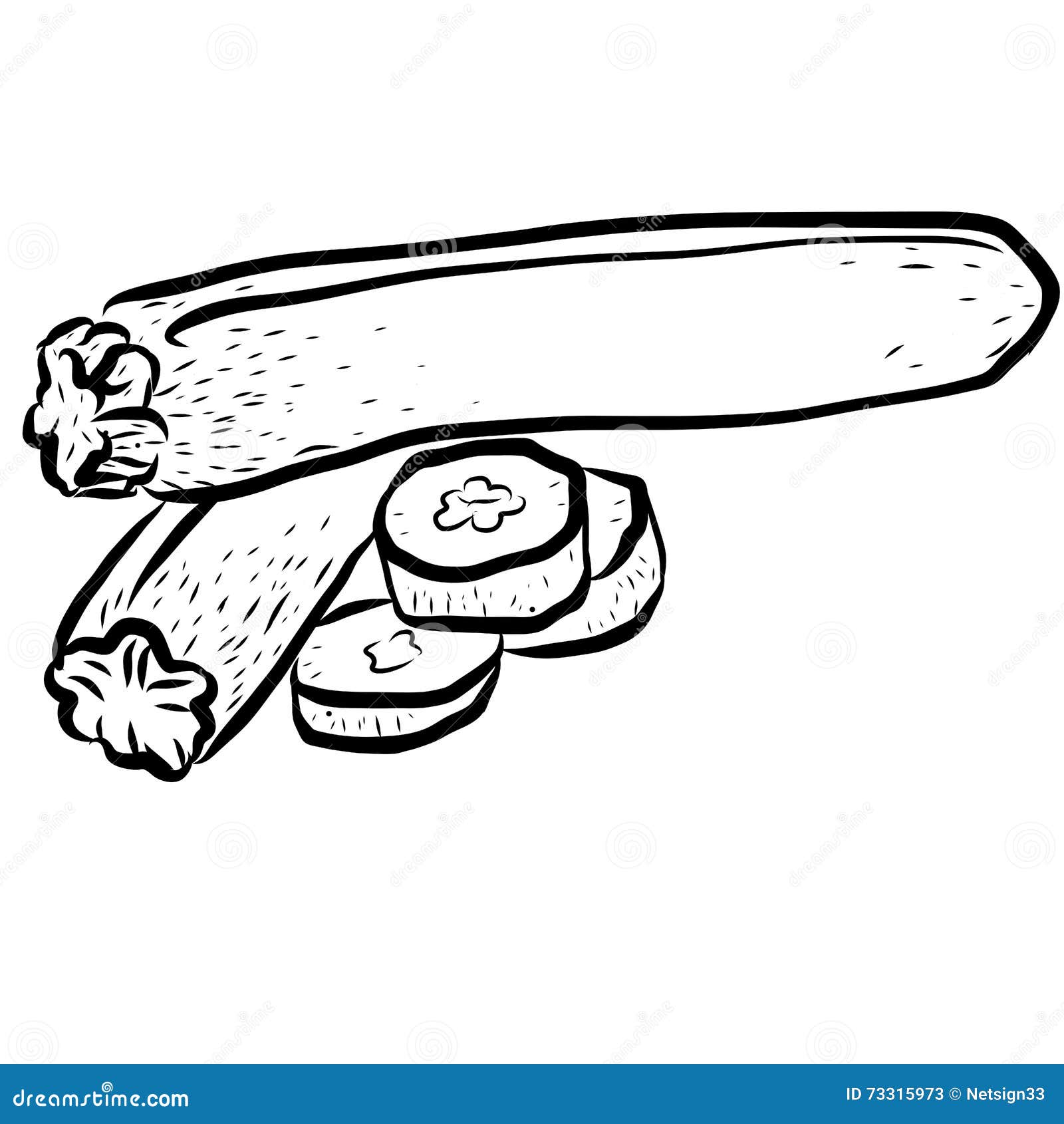 Zucchini Sketch Vegetables Outline Vector Artwork Stock Vector ...