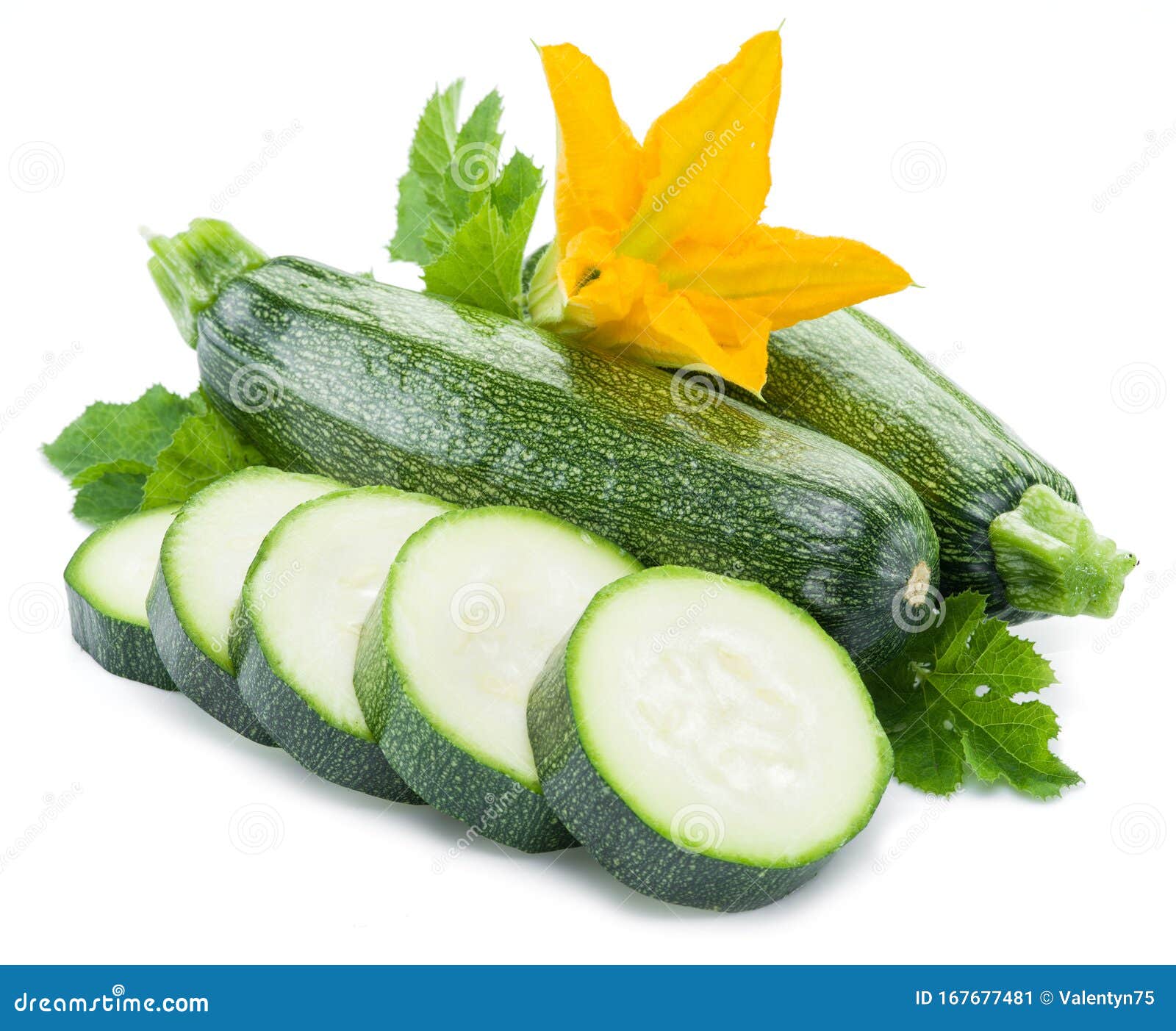 Zucchini on a White Background Stock Image - Image of segment, studio ...