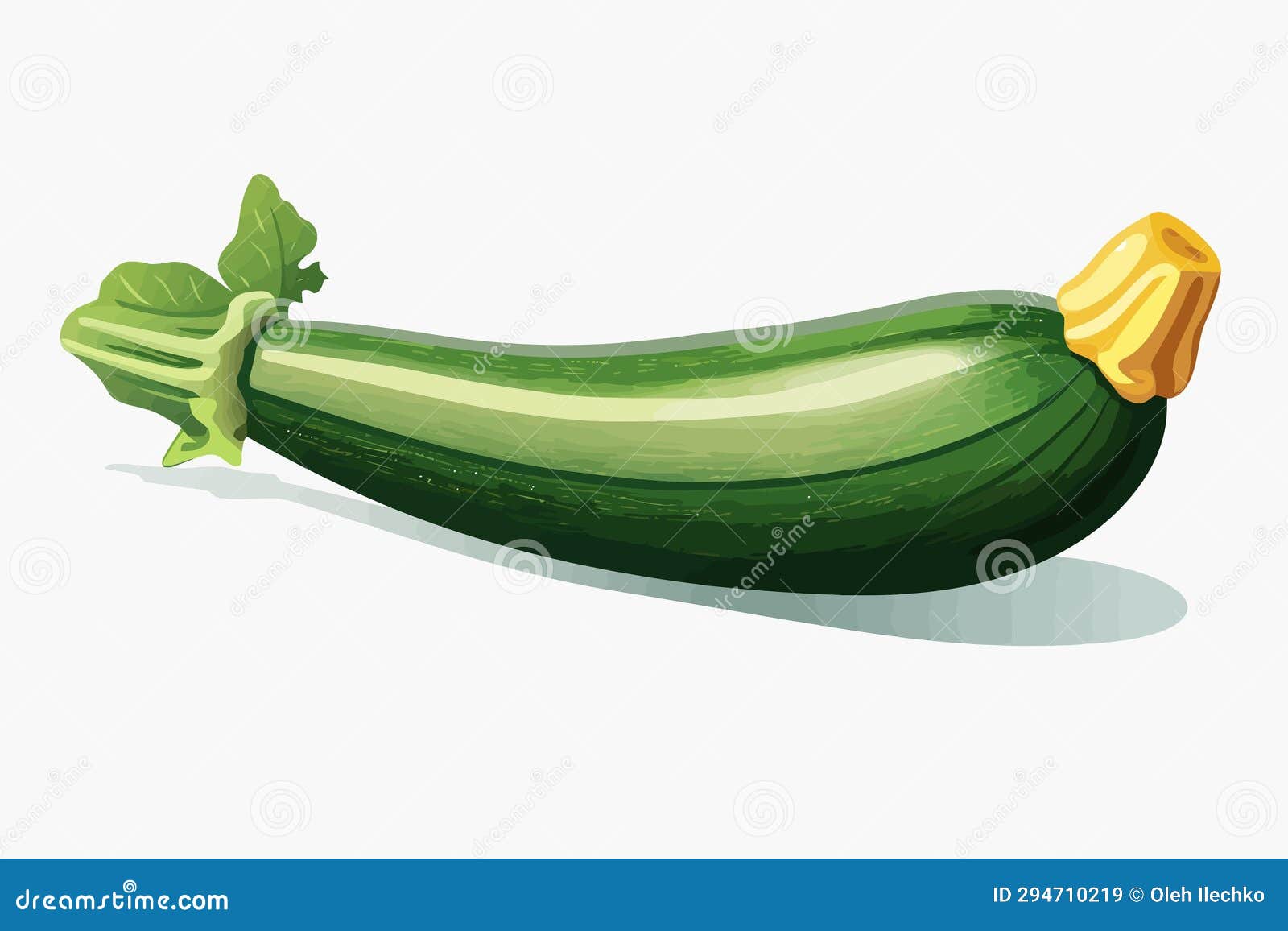 Zucchini Vector Flat Minimalistic Isolated Vector Style Illustration ...