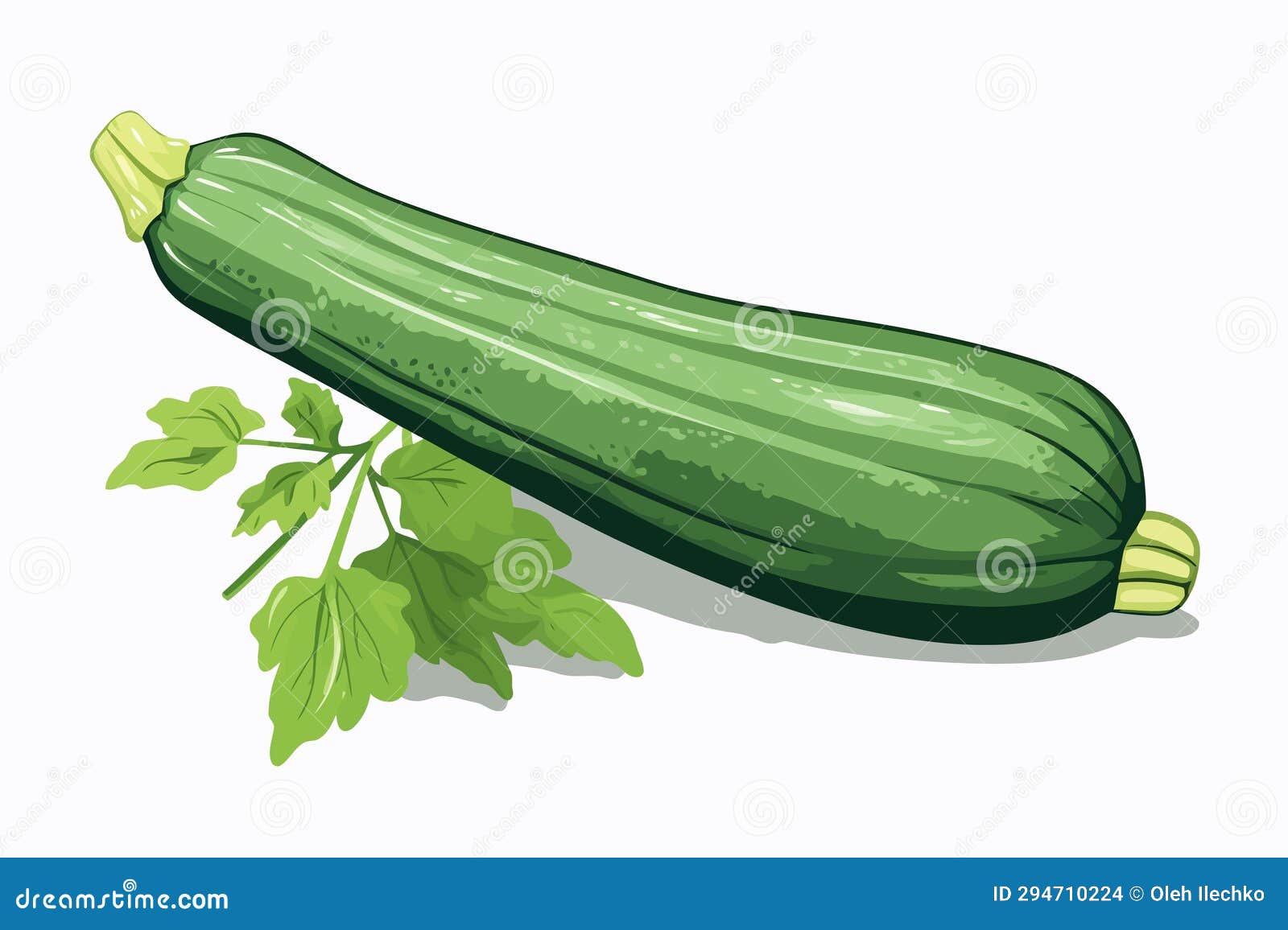 Zucchini Vector Flat Minimalistic Isolated Vector Style Illustration ...