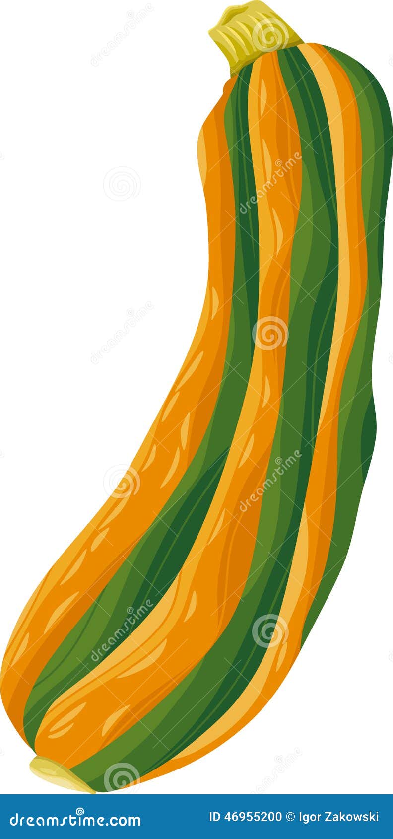 Zucchini Vegetable Cartoon Illustration Stock Vector - Illustration of ...