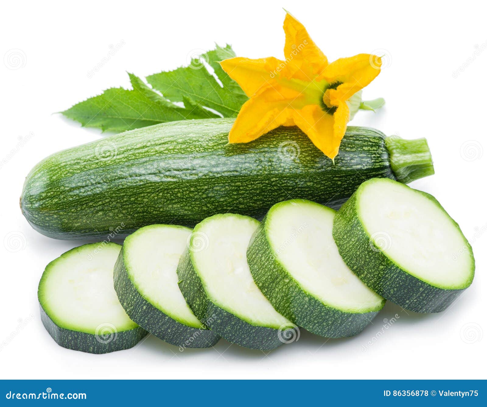 Zucchini on a White Background. Stock Photo - Image of studio, ripe ...