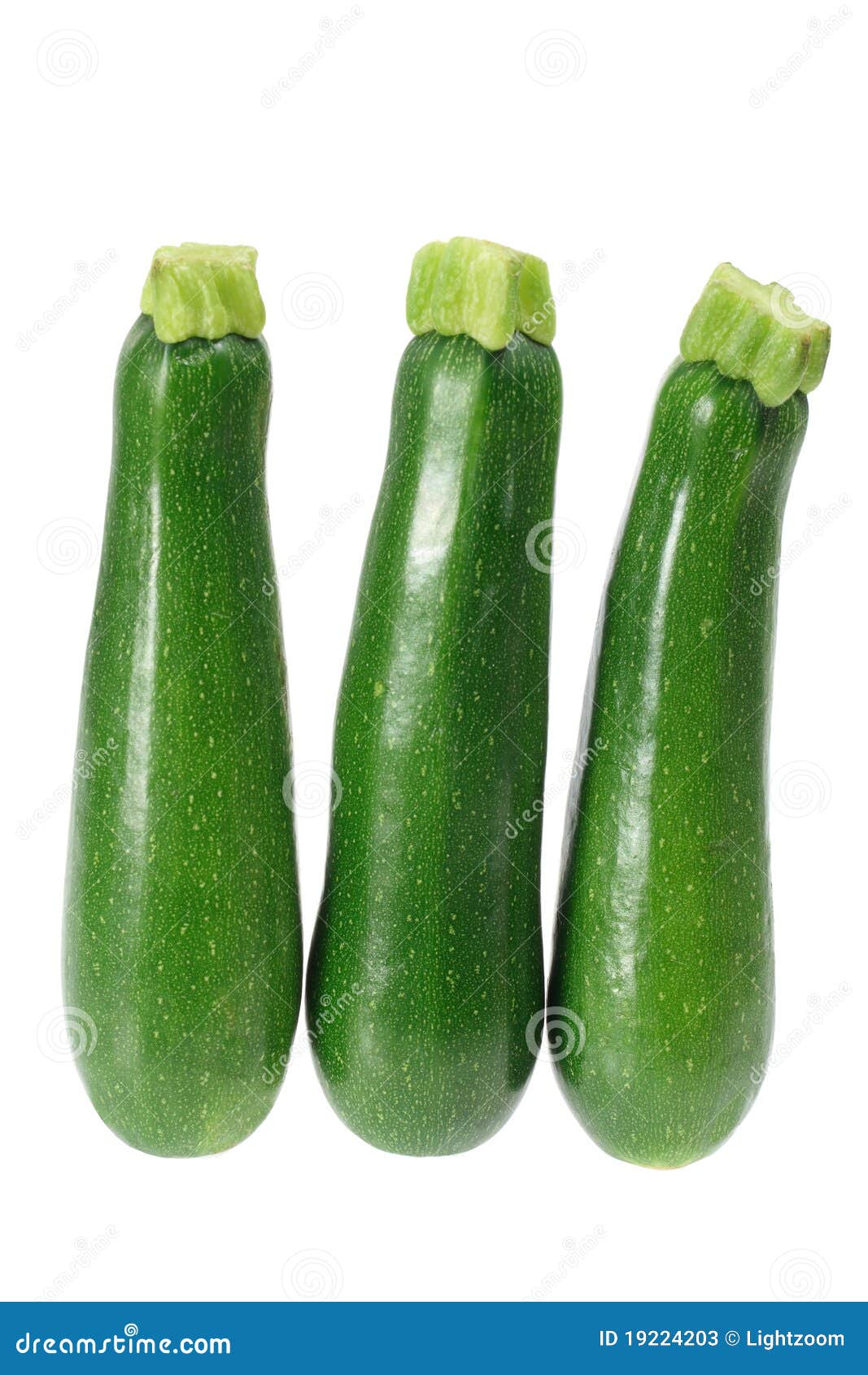 Zucchinis stock image. Image of healthy, fiber, food - 19224203