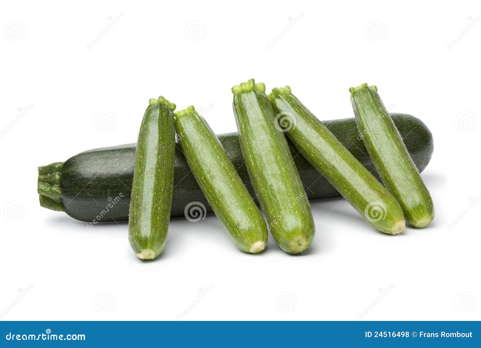 Zucchino e mini zucchini fotografia stock. Immagine di organico - 24516498
