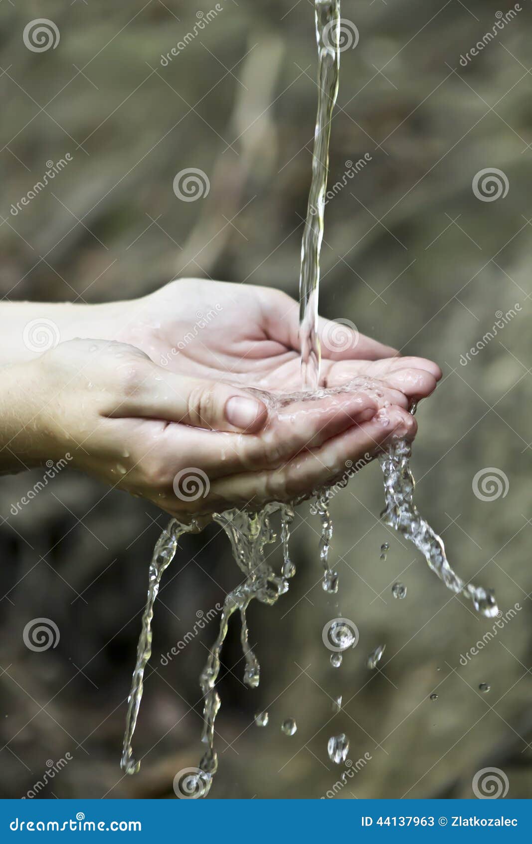 Zuivere Natuurlijke Waterbron Stock Afbeelding - Image of handen ...