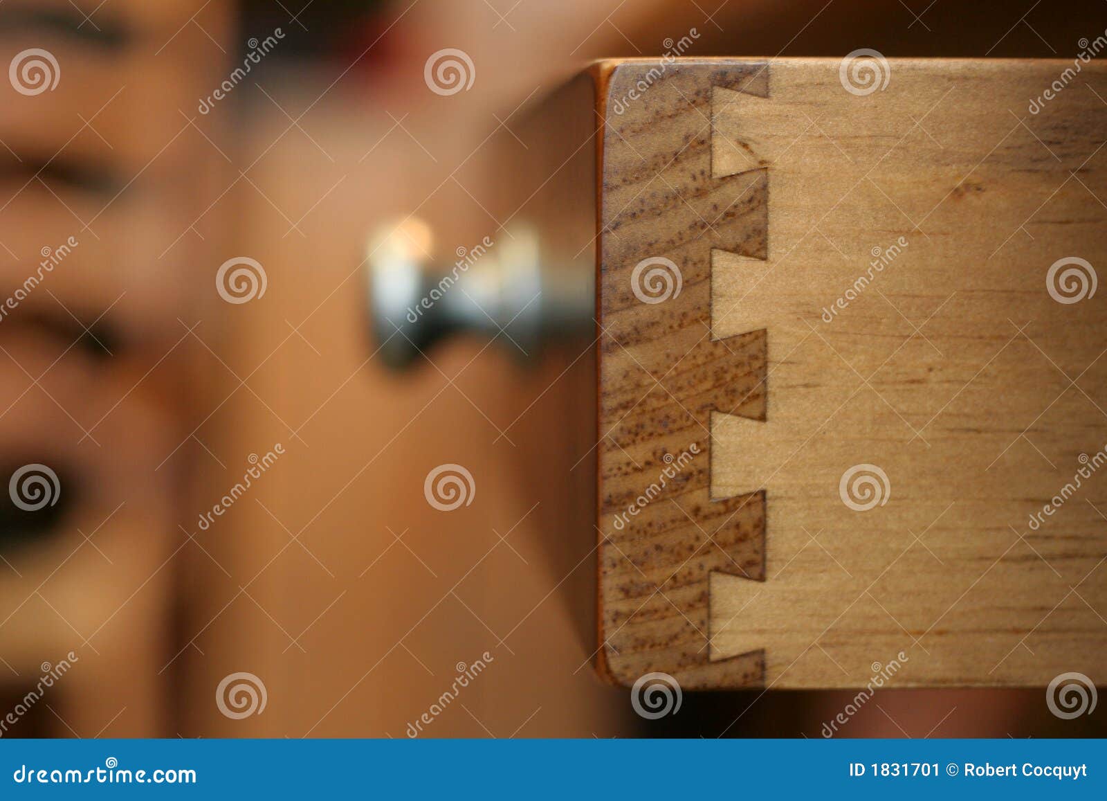 Zwaluwstaart stock afbeelding. Image of zwaluwstaart, controle - 1831701