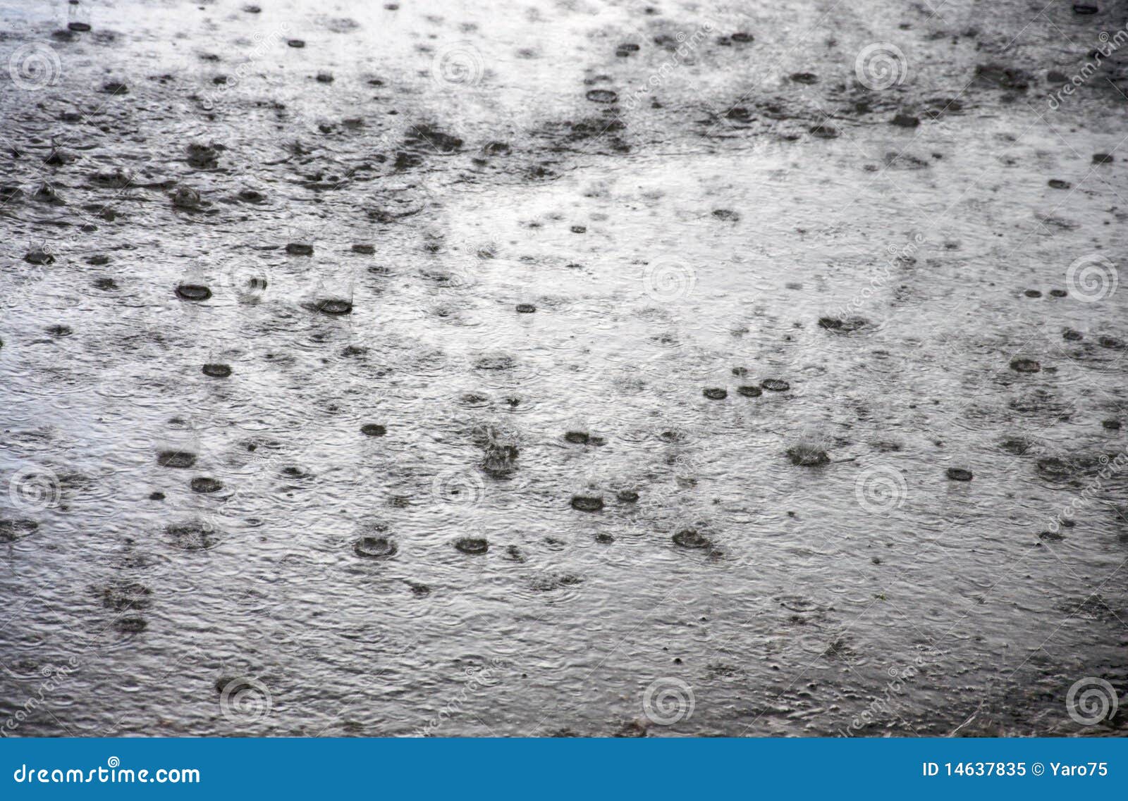 Zware regen stock afbeelding. Image of beschrijvend, buiten - 14637835