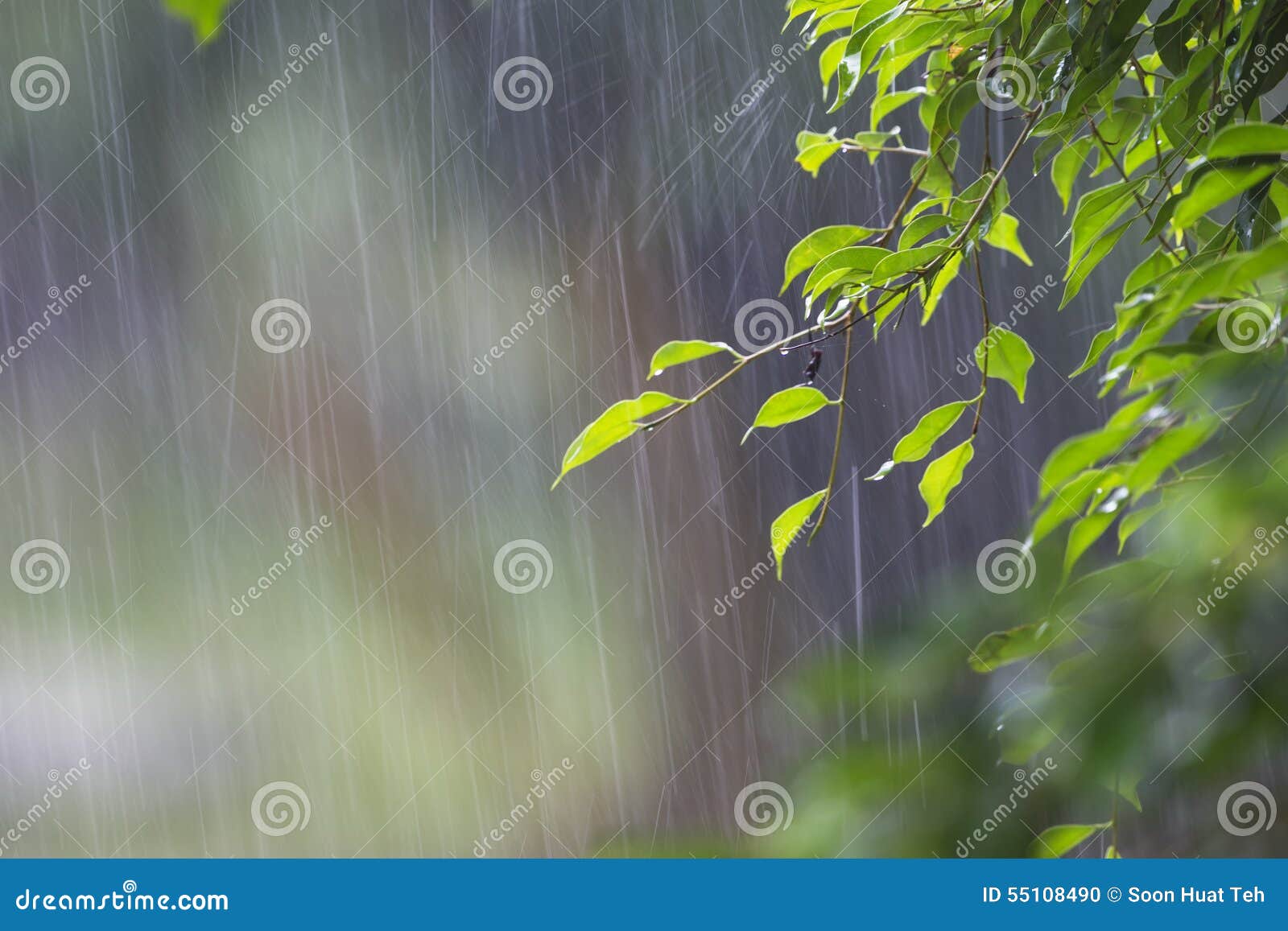 Zware regen stock foto. Image of kleur, creativiteit - 55108490