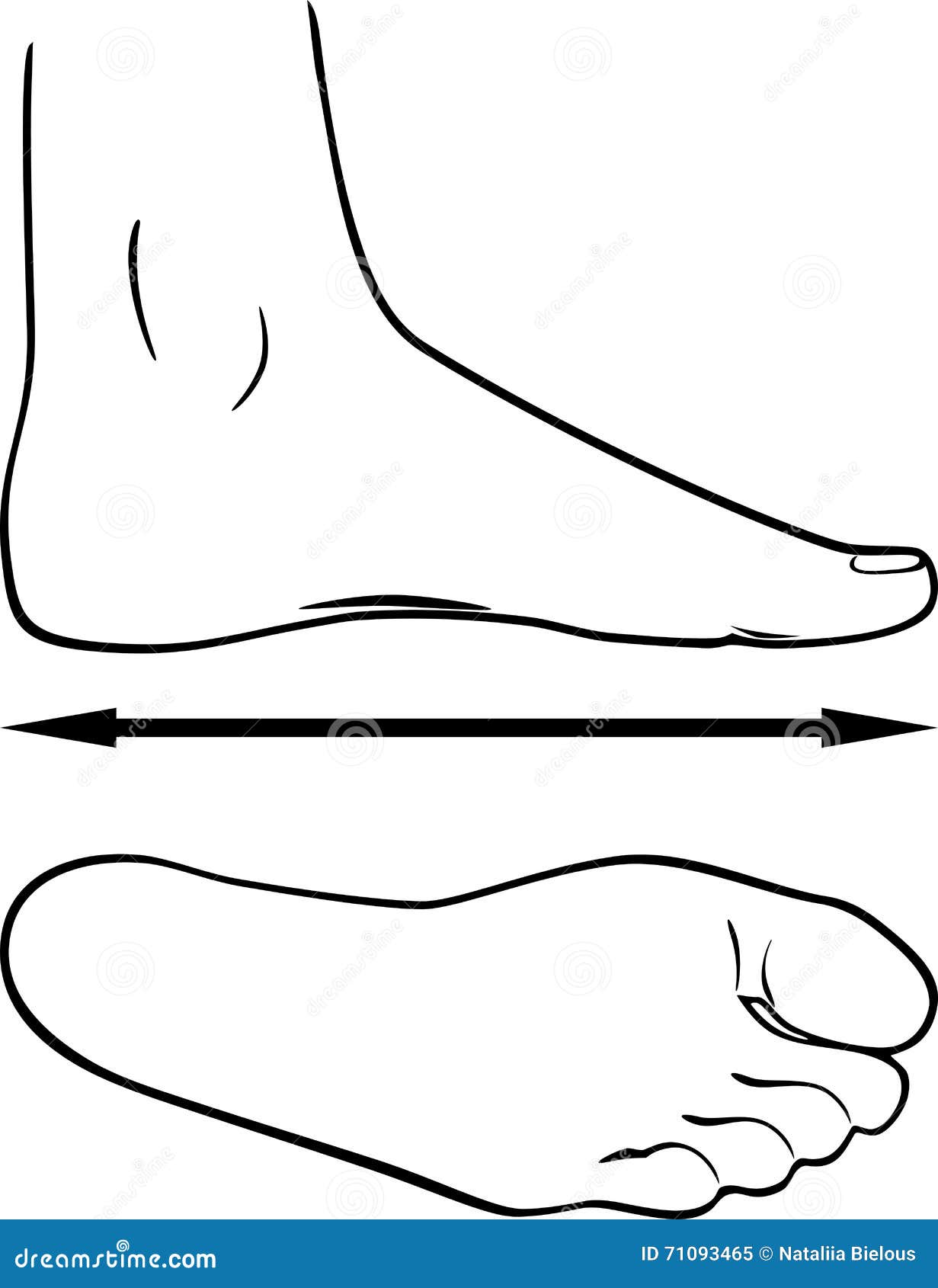 Zwart-wit Overzicht Van De Voet Vector Illustratie - Illustration of ...