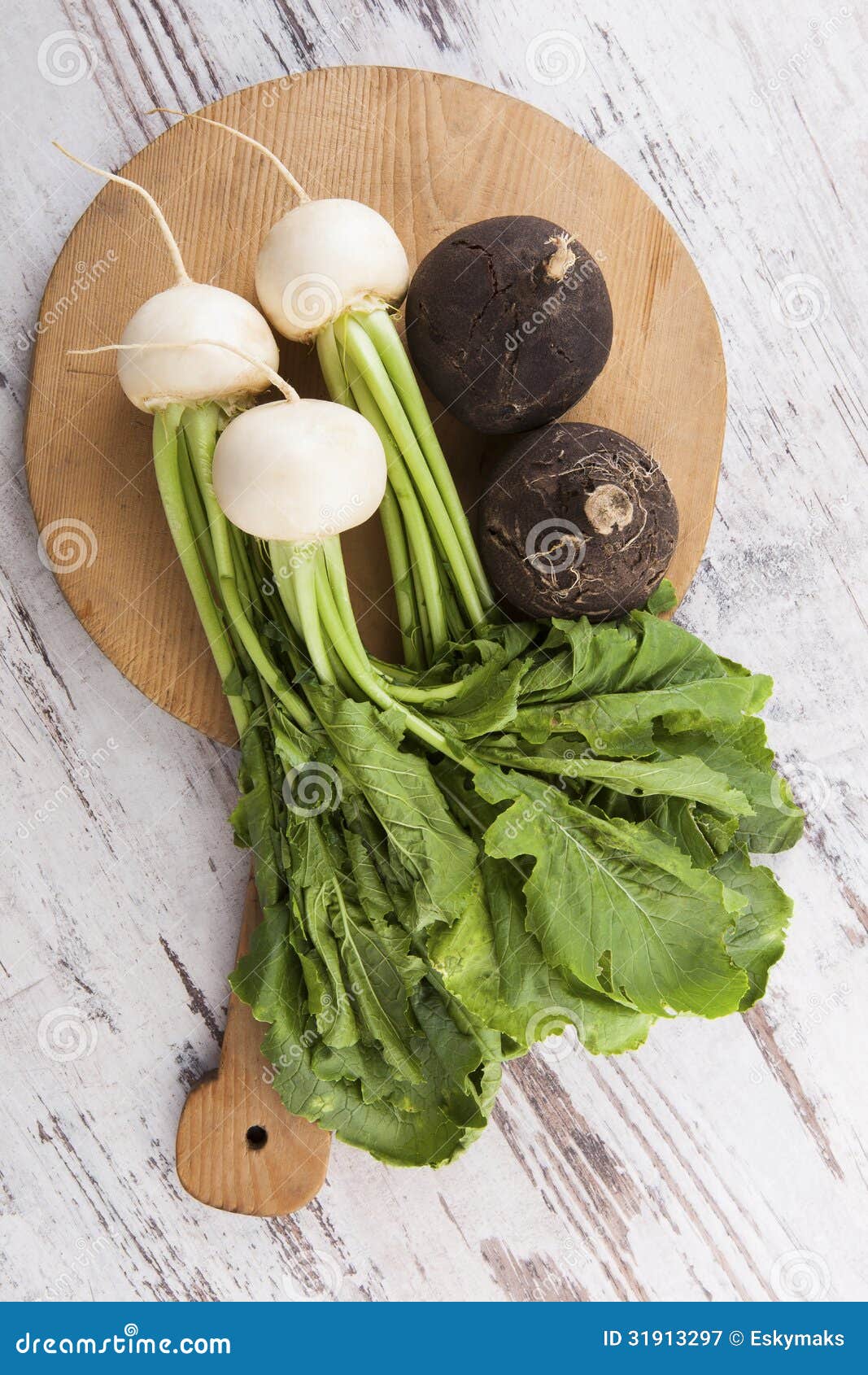 Zwart-witte radijs. stock afbeelding. Image of ingrediënt - 31913297